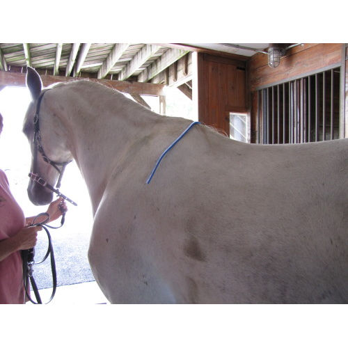 104 Freedom Saddle Fitting Kit – Freedom Saddle